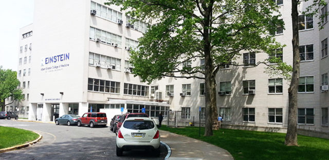 Albert Einstein College of Medicine - CPR123, Inc.