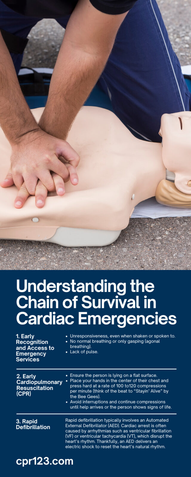 Understanding the Chain of Survival in Cardiac Emergencies